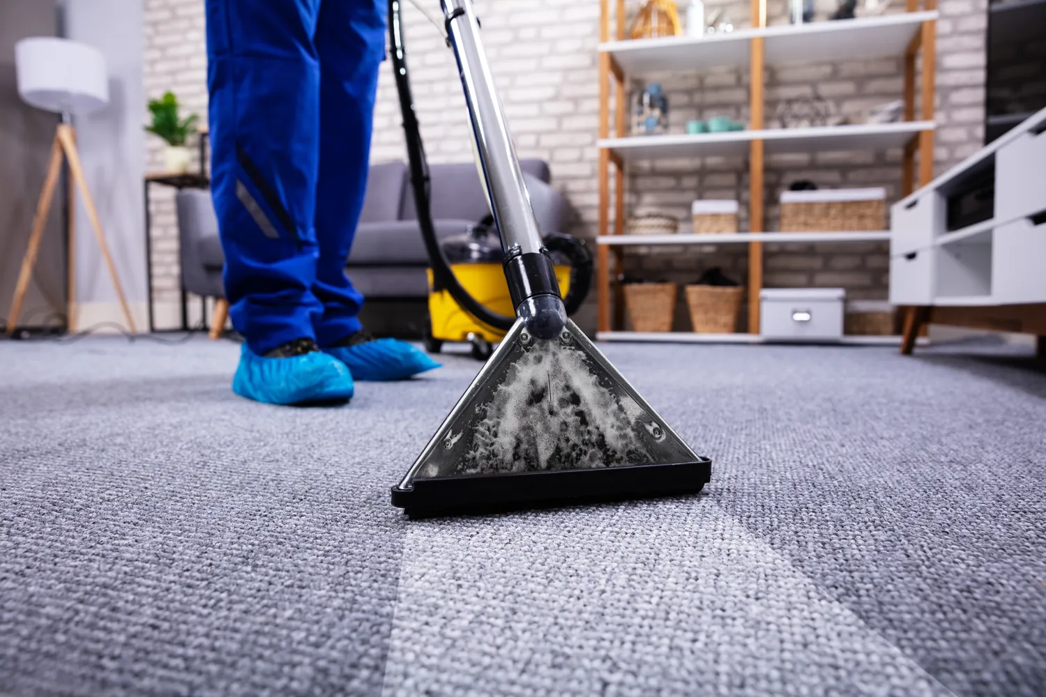 CCC Carpet Cleaning, Wheaton, 60187